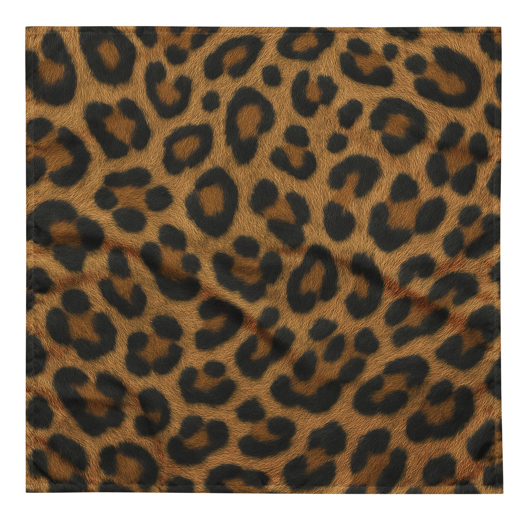 Leopard Print Clothing